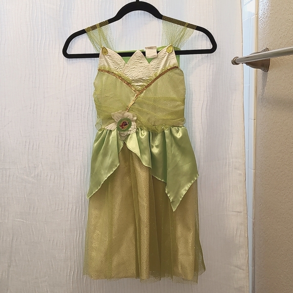 creative designs | Costumes | Disney Princess Tiana Costume Dress ...